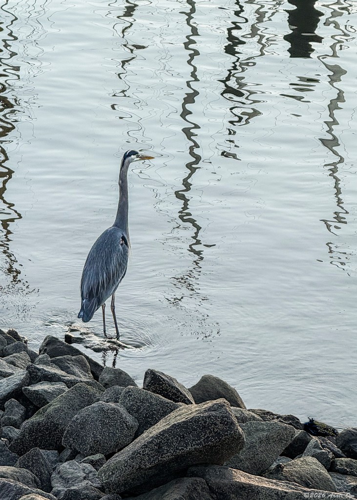 Wordless Wednesday – Pause… Breathe… and Click